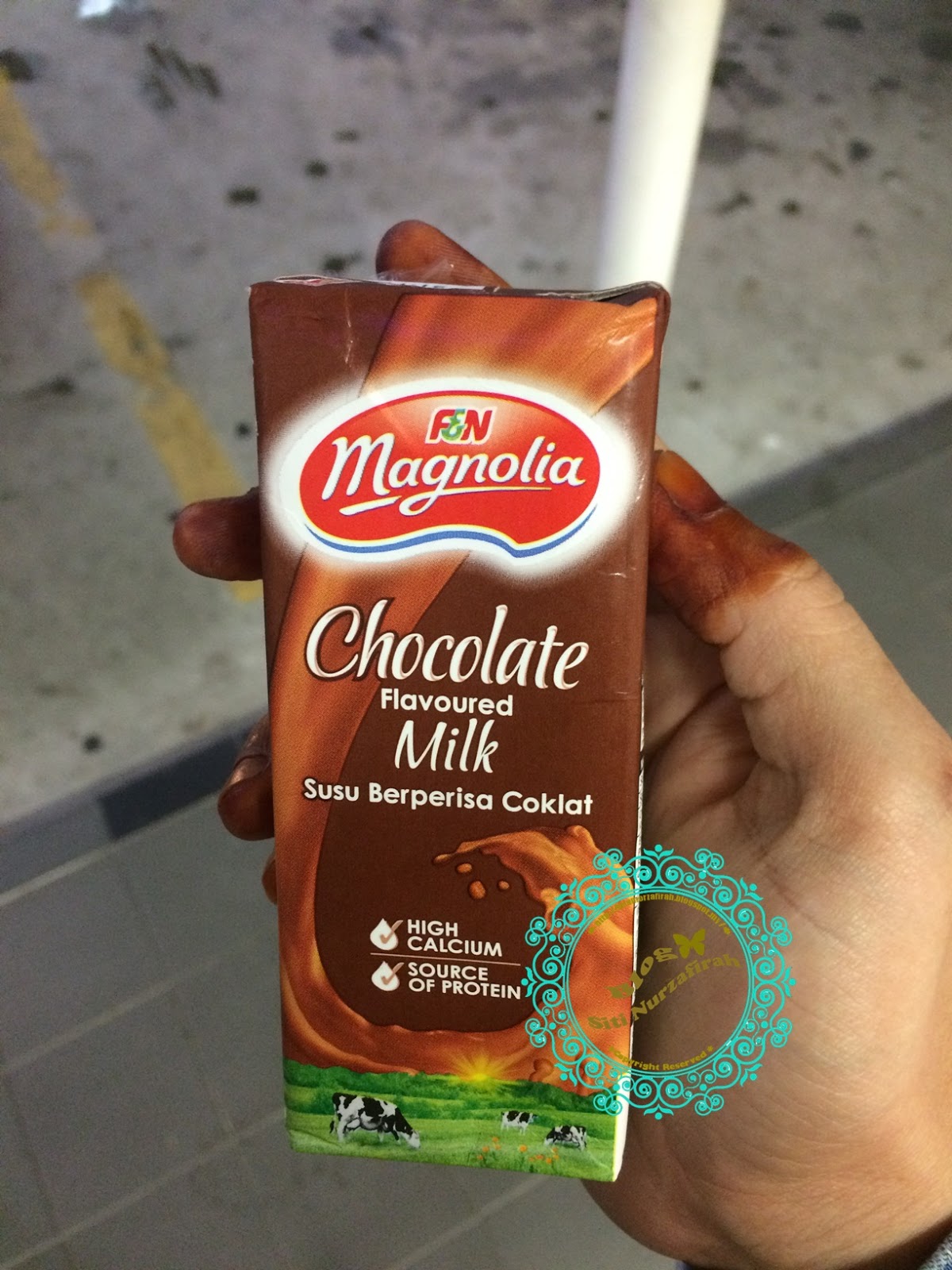 F&N MAGNOLIA CHOCOLATE FLAVOURED MILK - Miamorzafirah