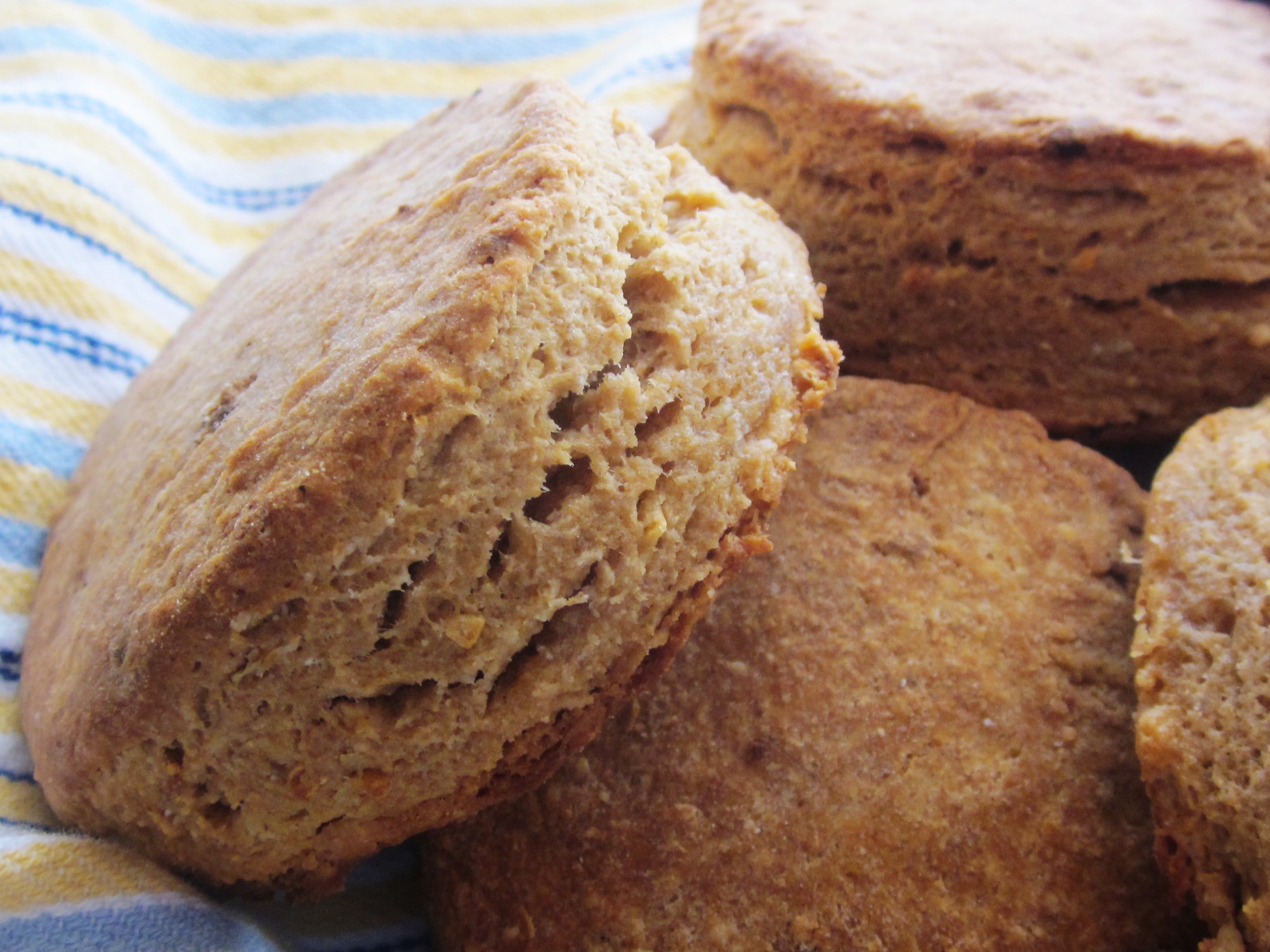 Chef Tess Bakeresse: 5 Speciality Flours Class for Cinco De Mayo!