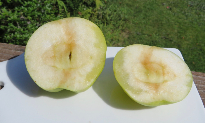 The View from Outside - Adam's Apples