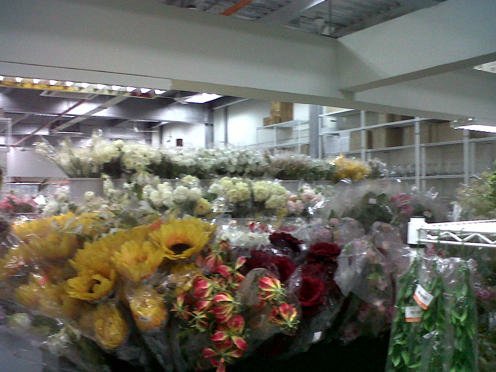 Journey of Bride To Be: FLORISTIKA - Kedai Bunga