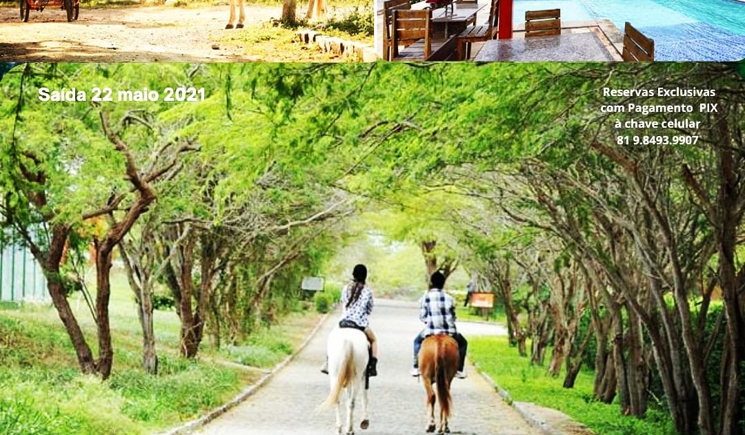 Fazenda Santa Fé - PE