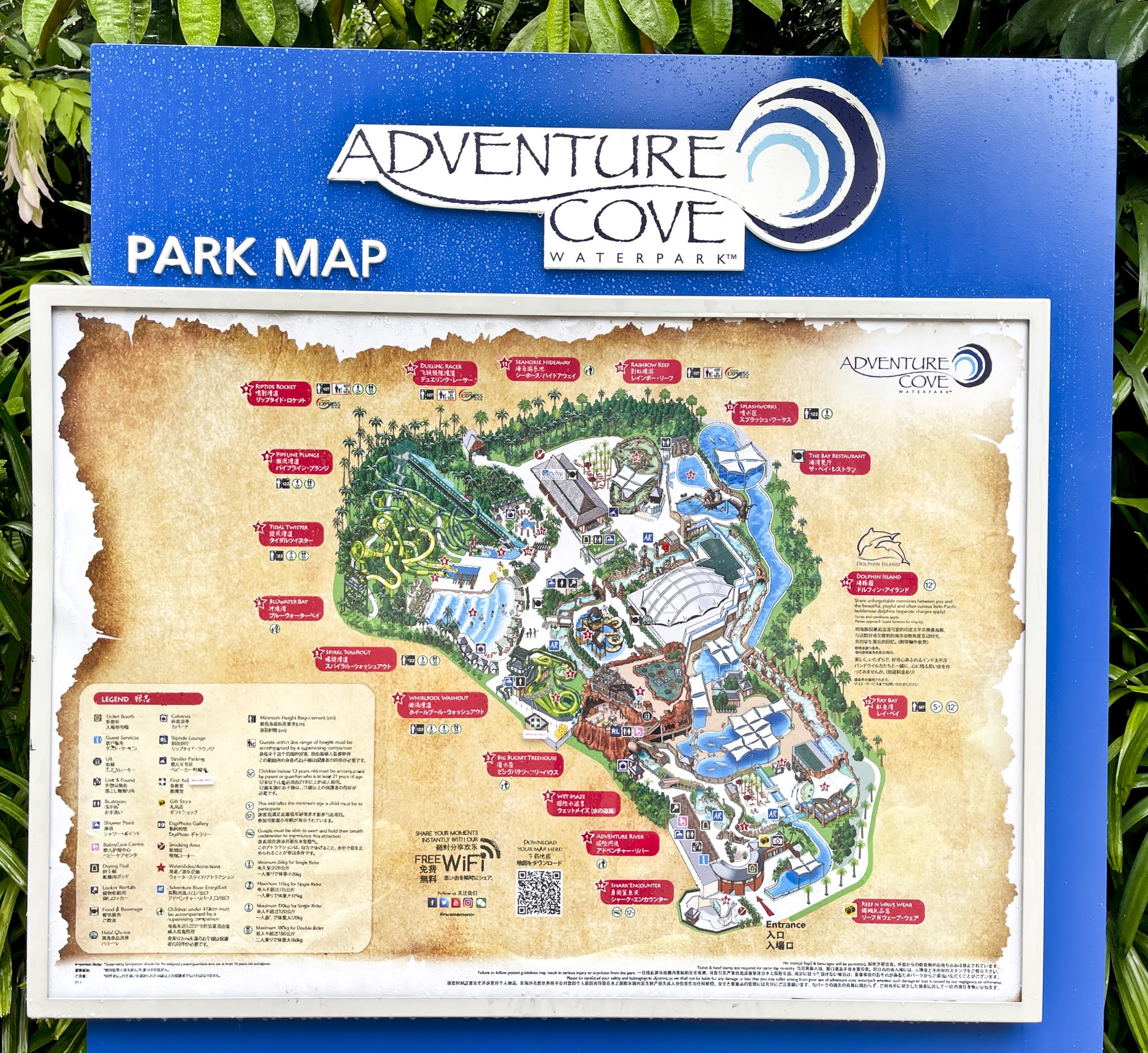 Entree Kibbles: Adventure Cove (Part of Sentosa Marine Life Park ...