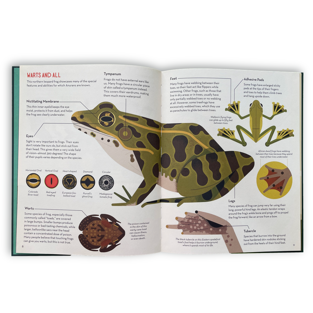 littlecubliteracy: Owen Davey Nonfiction Series