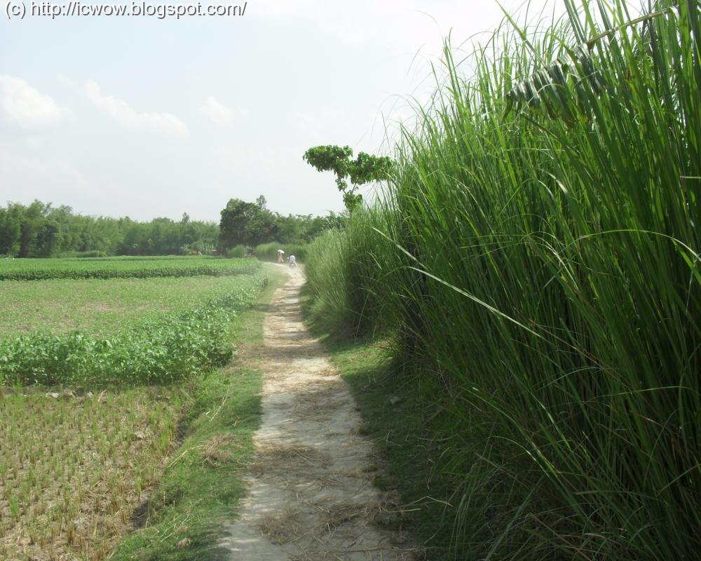 EXPLORE THE WORLD: Natore; a District in Bangladesh