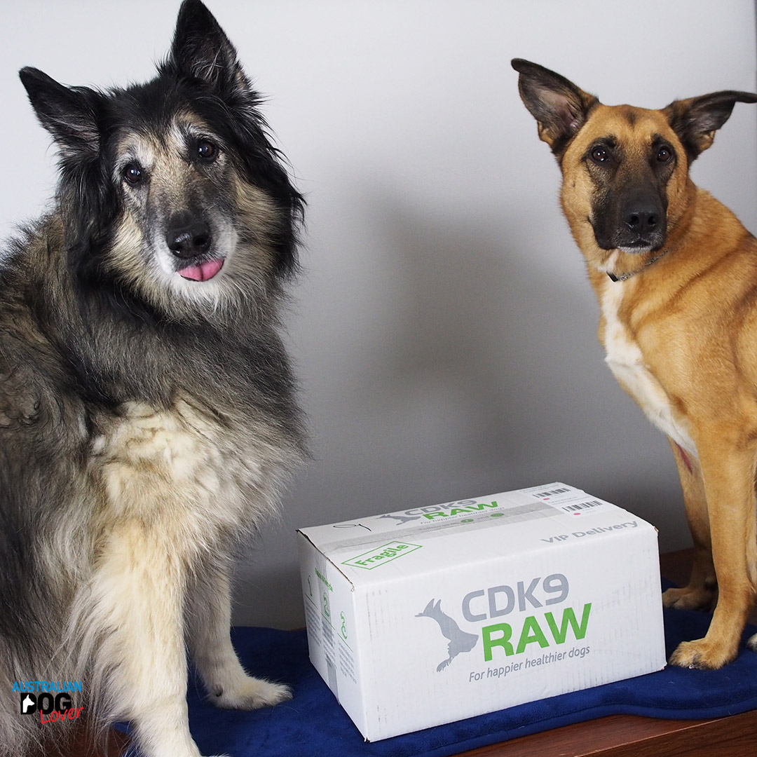 CDK9 Raw Complete Mixes for Dogs – Review | Australian Dog Lover