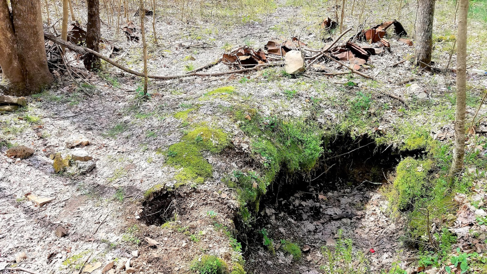 Then & Now Movie Locations: The Evil Dead (1981)