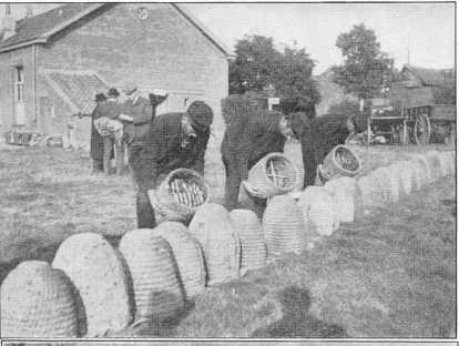Anna Markland: Medieval Beekeeping