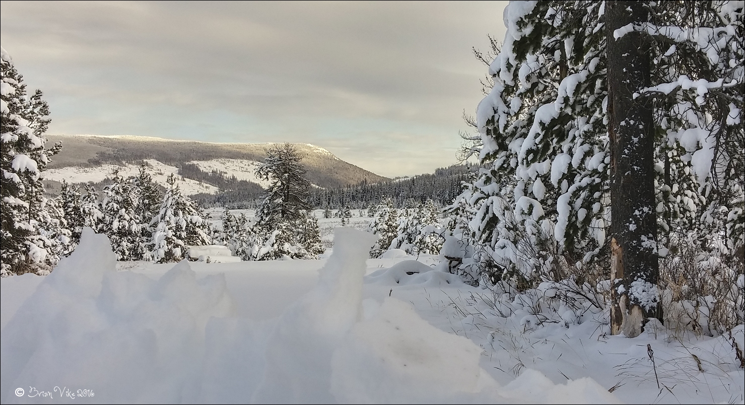 Northern Interior British Columbia: Winter's Snowfall 8 In Houston ...