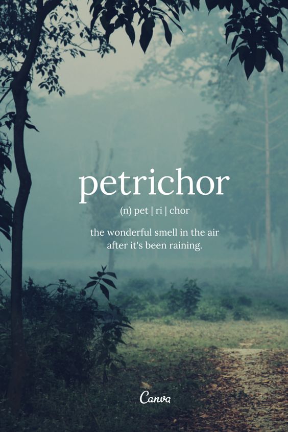 From Valerie's HeART: Petrichor