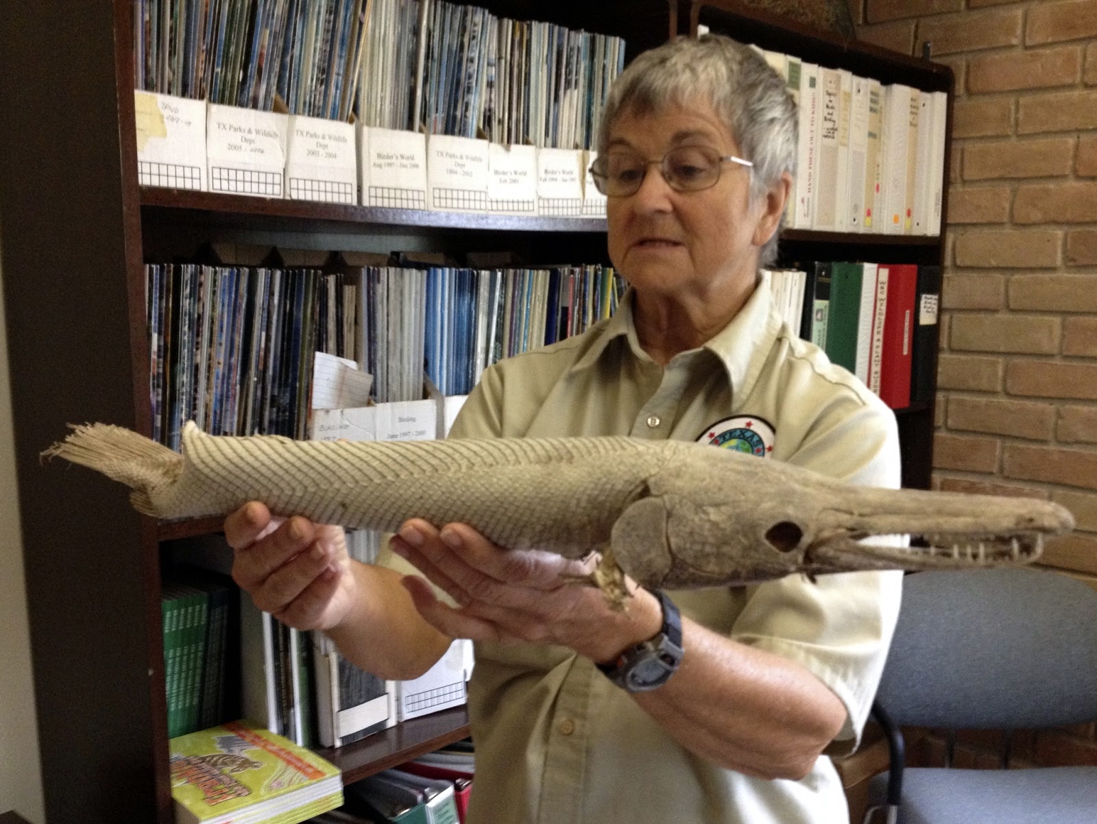 Just Our Nature: South Texas Birding Trip: Rio Grande Valley (March 31 ...