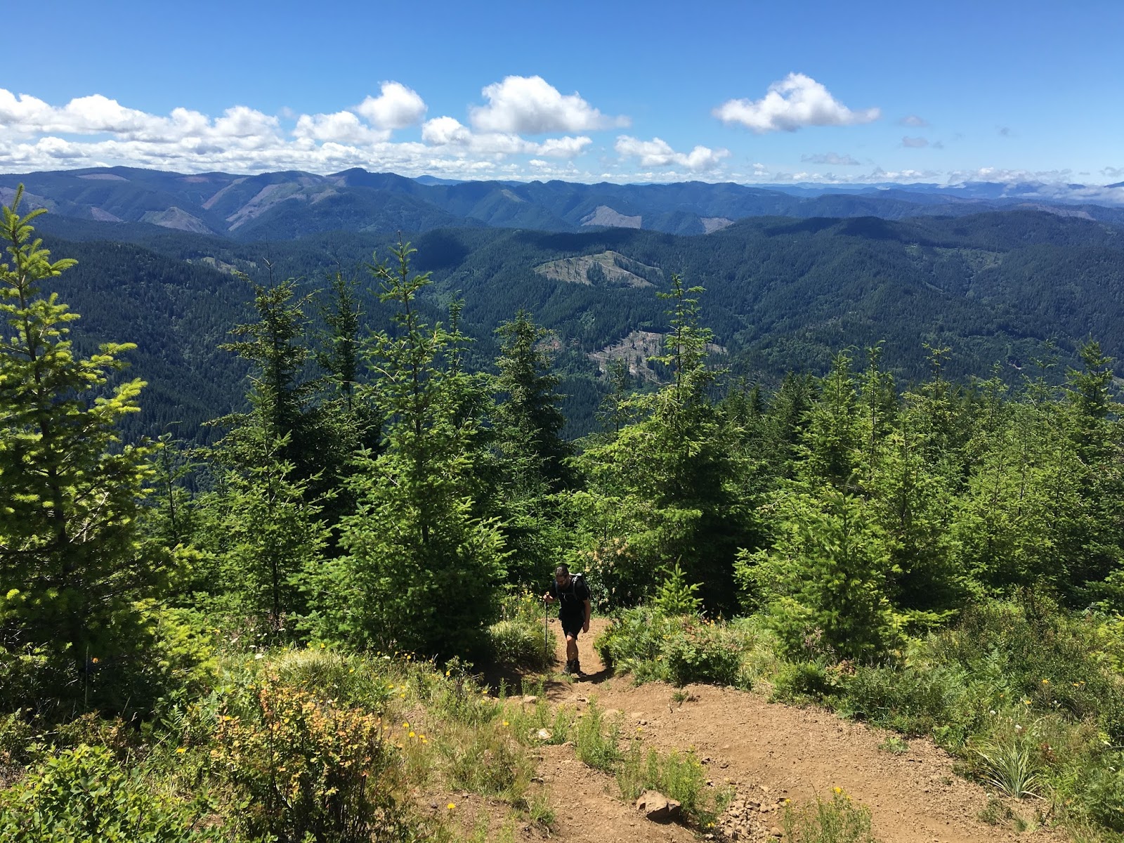 Elk Mountain - Kings Mountain loop