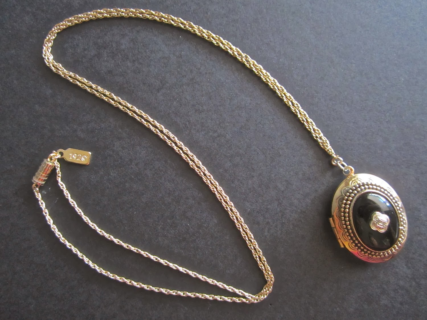 Picture Locket and Chain: Picture Locket and Chain