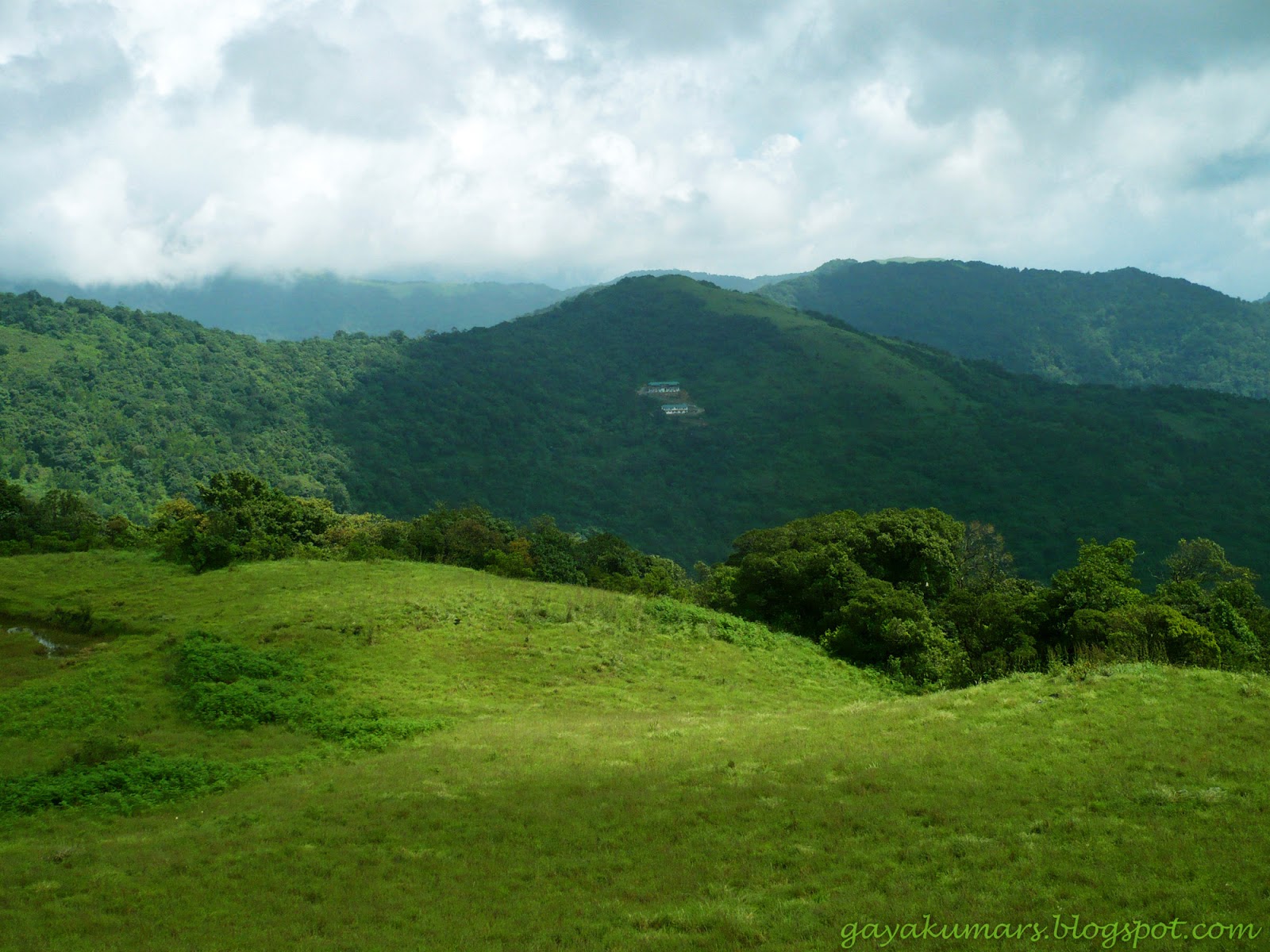 A Trip To PaithalMala: PaithalMala / Vaithalmala