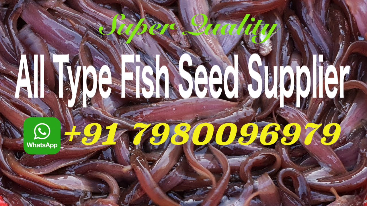 Better Farming Solution For You