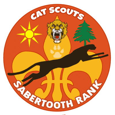 Goodness Gracie: CAT SCOUTS
