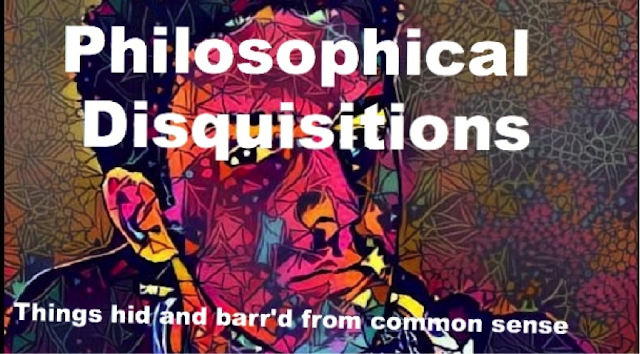 Philosophical Disquisitions: Philosophical Disquisitions Newsletter 1st Edition