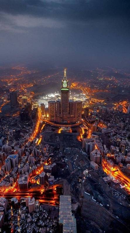 Macca Wallpaper HD - Wallpaper Box