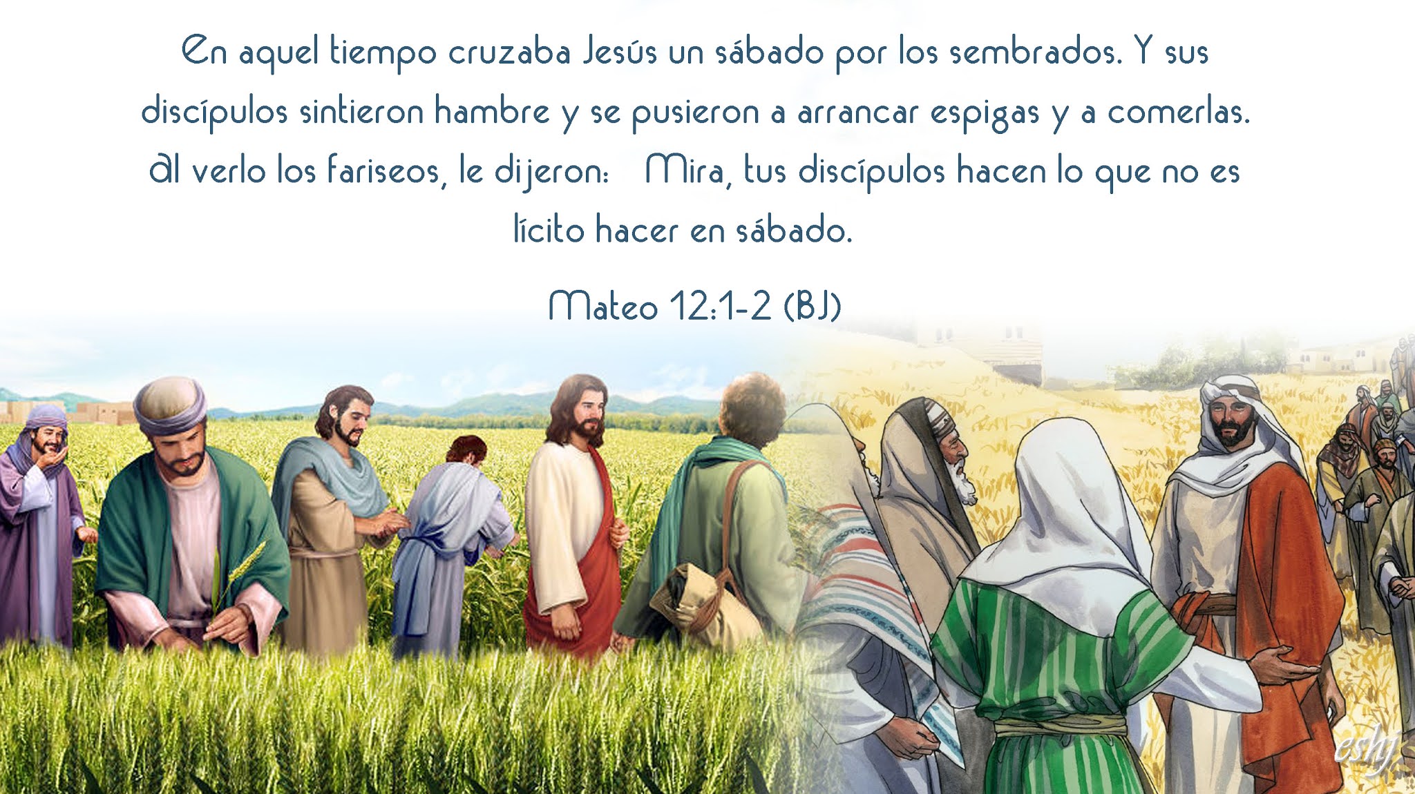 CBA Libro de Mateo capítulo 12