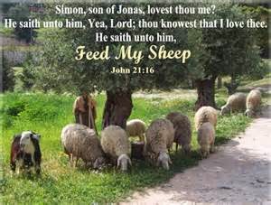 Feeding Jesus' Sheep -- Our Motivation