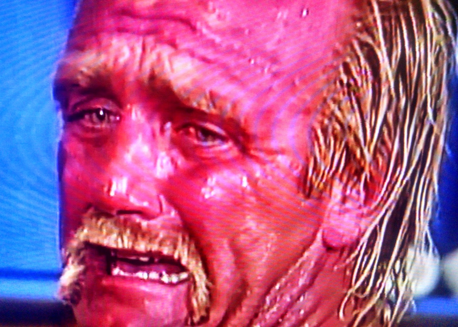 ISeeRobots: Several Pictures Of Hulk Hogan Crying After He Lost The ...