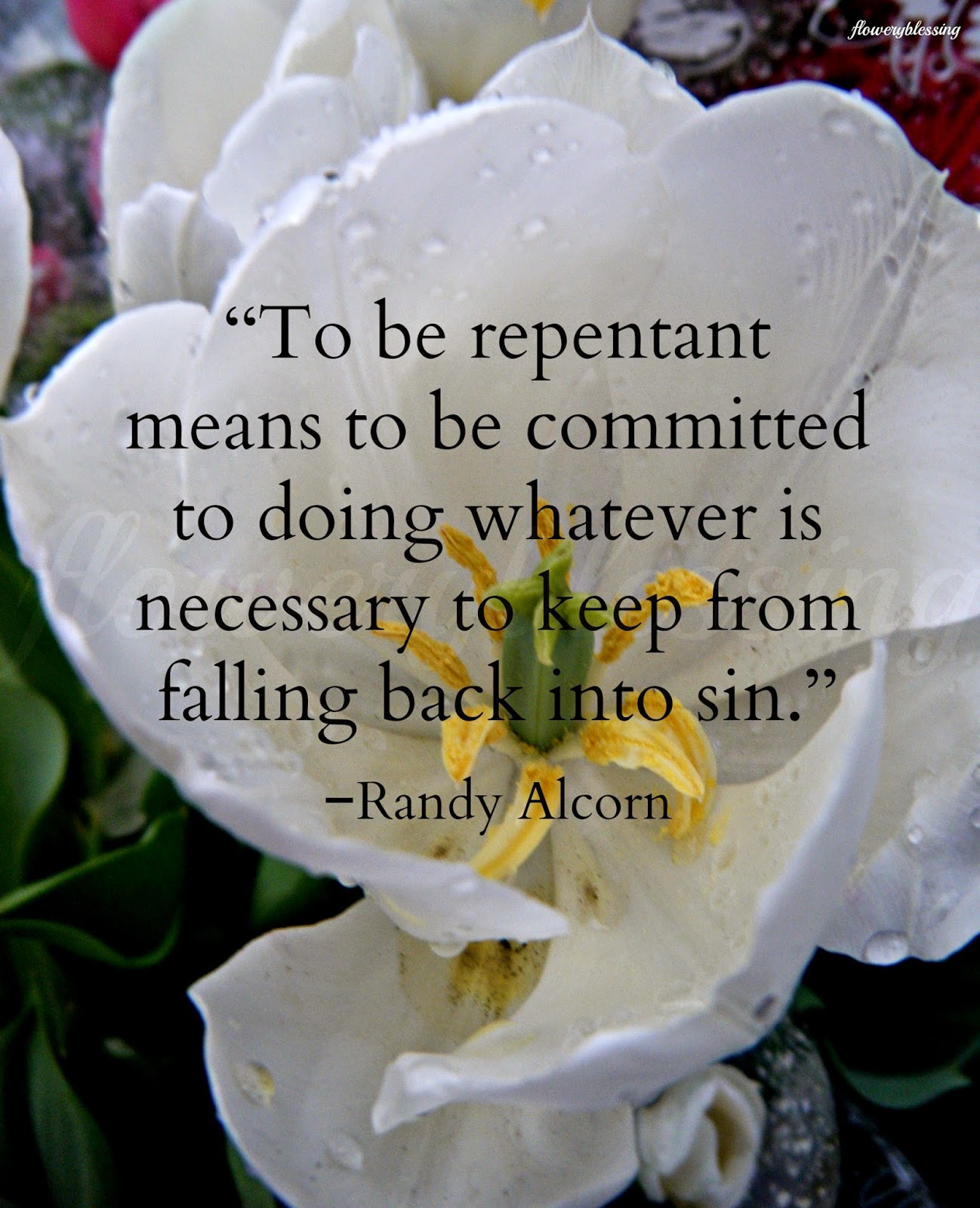 Flowery Blessing: “To be repentant means to be committed to doing what ...