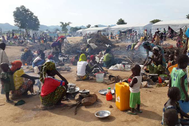 Nigerian refugees in 'atrocious' situation in Niger: UN