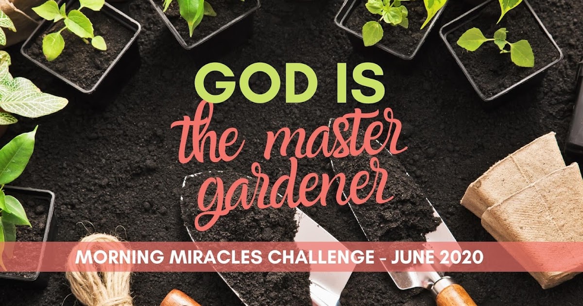 3 Best of Everything: God is the Master Gardener