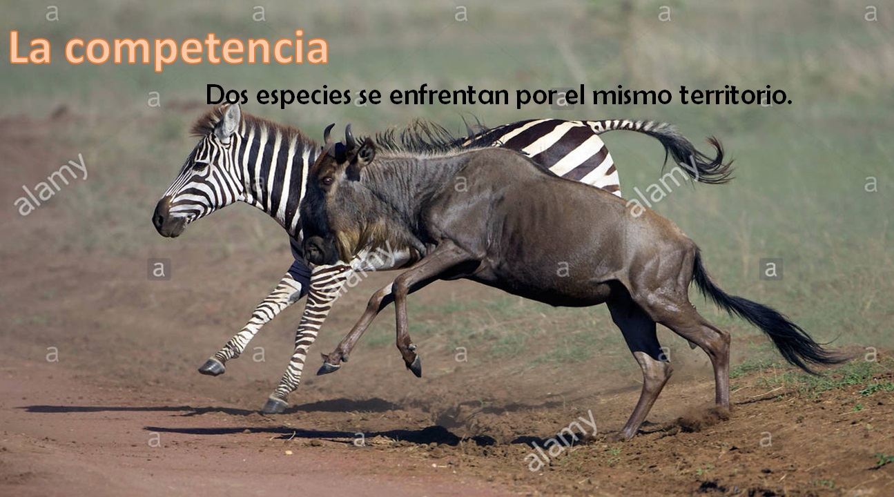 Tercero Maximiliano: CIENCIAS NATURALES