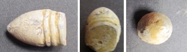 The Civil War Picket: Update: They found a bullet last year at a Baton ...