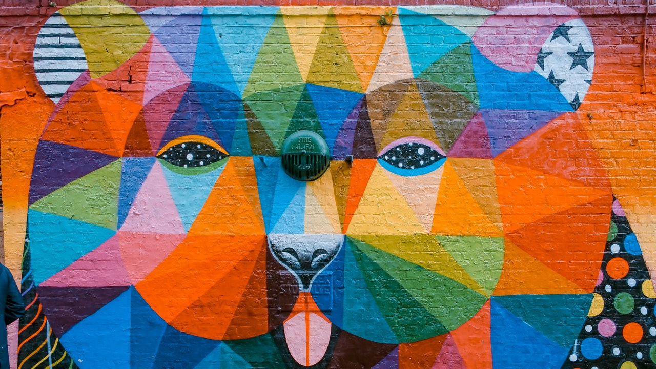 Types of Photography: These Are 10 Genres You Should Know | RiseZoom ...