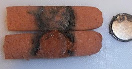 Lithium Disc Battery Danger for Kids (and Hot Dogs) | Fauquier ENT Blog