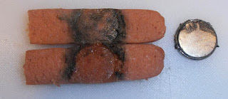 Lithium Disc Battery Danger for Kids (and Hot Dogs) | Fauquier ENT Blog