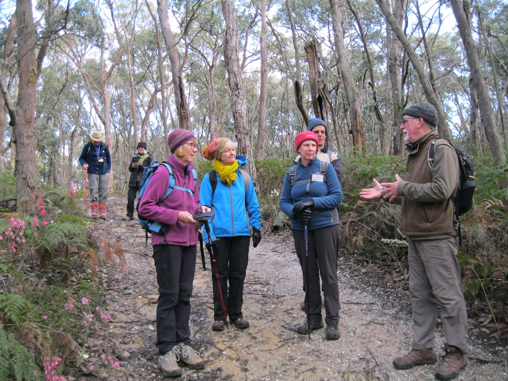 Iron Mine & Mt Doran Forest Circuit Hike 13km