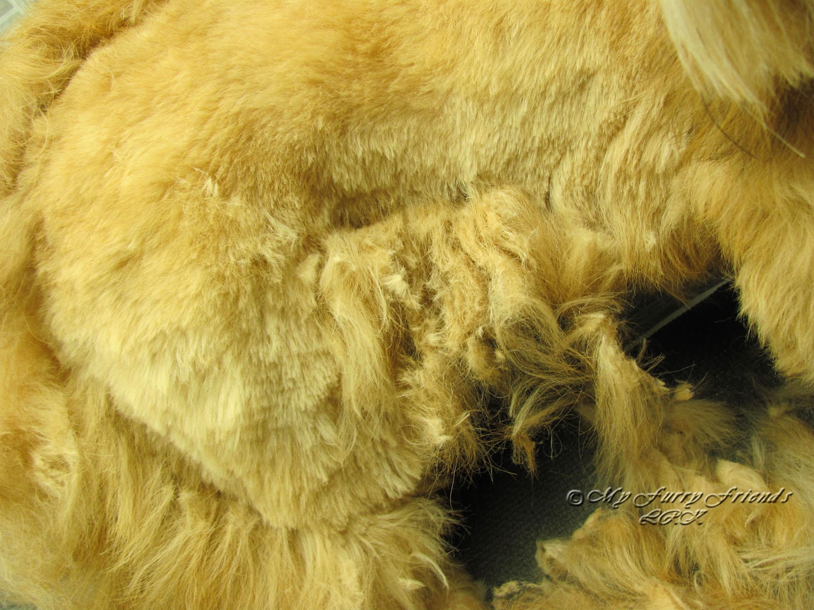 Pet Grooming: The Good, The Bad, & The Furry: Bathing/Clipping a Matted Dog