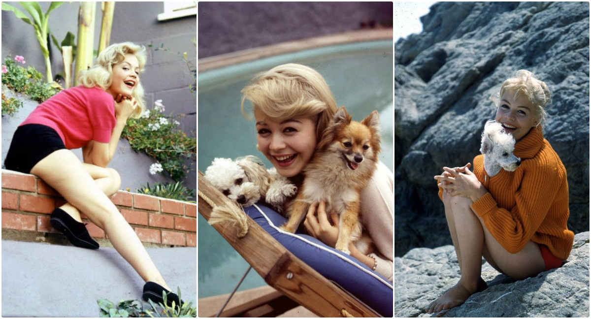 53 Stunning Color Photos of Sandra Dee From Between the 1950s and 1960s | Vintage News Daily
