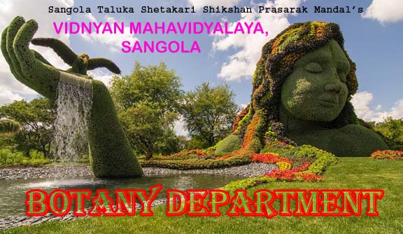 DEPARTMENT OF BOTANY: About Department