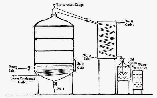Practical Problems Connected with Essential Oil Distillation