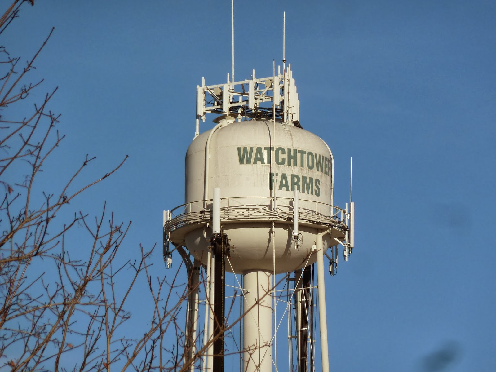 Up to Lately: New York Visit