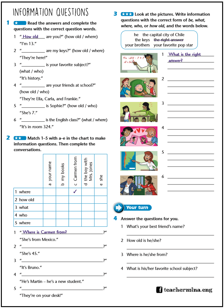 Teachermina: [activity] information questions