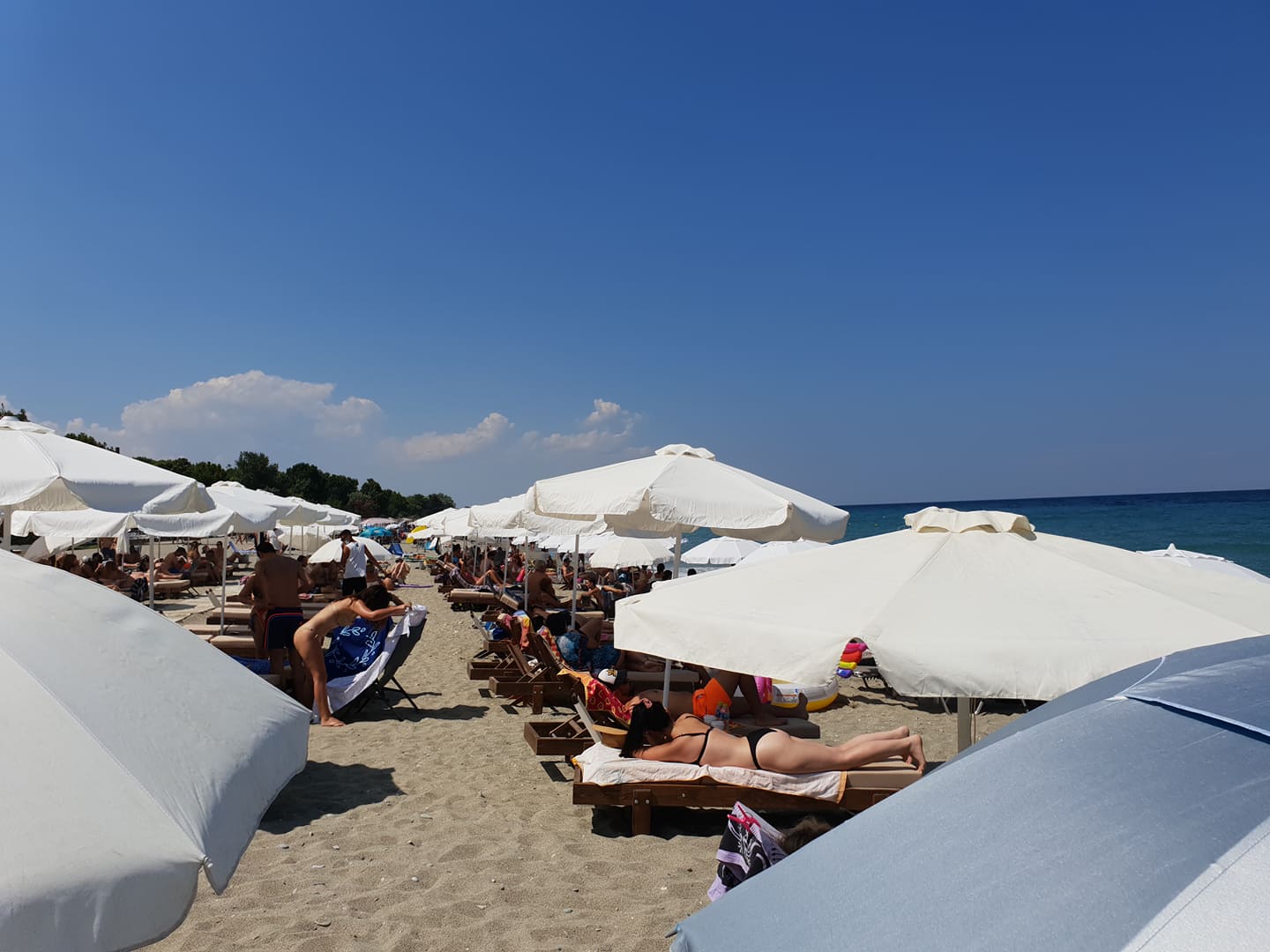 ΠΙΕΡΙΚΗ : ΠΙΕΡΙΑ: Για βουτιές στον Παντελεήμονα οι Λαρισαίοι – Δεν ...