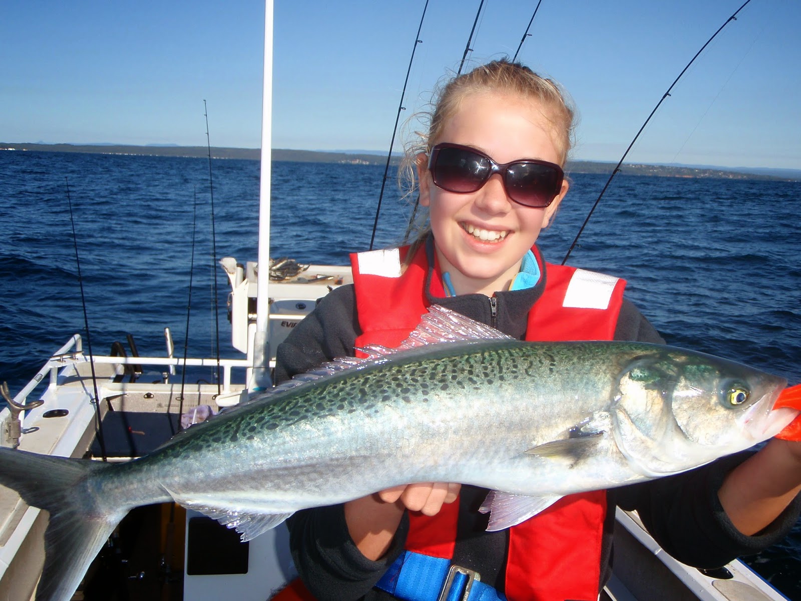 Bay and Basin Sportsfishing.com.au: Sportfishing Australian Salmon
