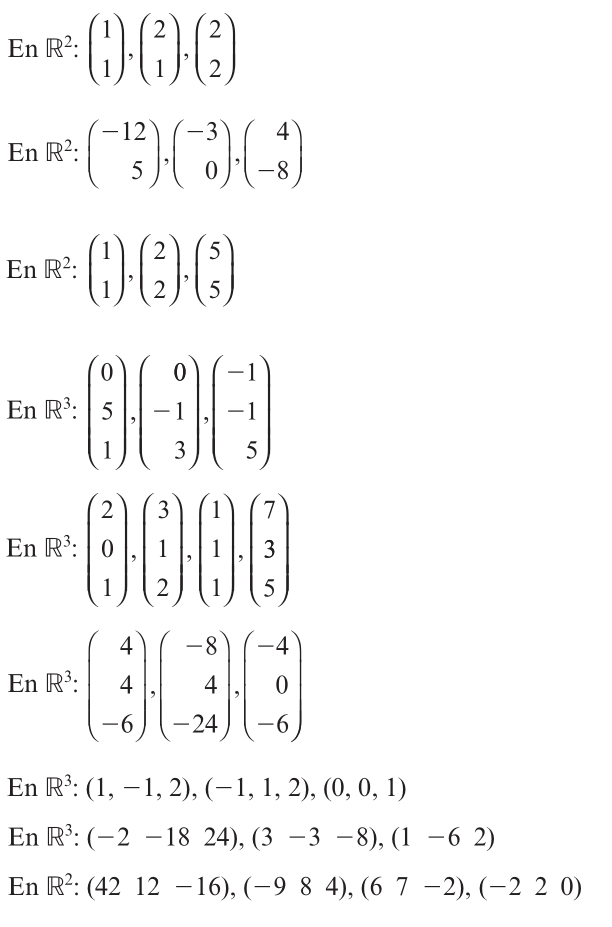 Clases de matematicas: Guia final de algebra lineal