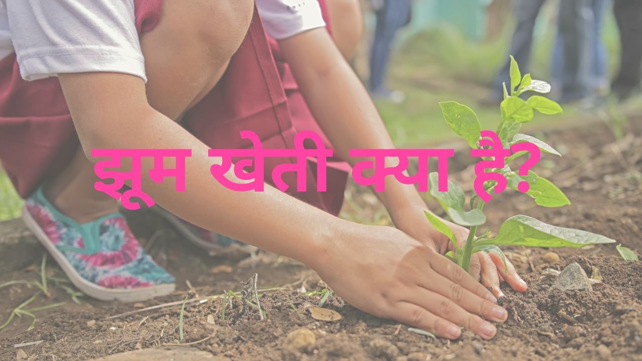 झूम खेती किसे कहते हैं? Jhum Kheti Kya Hai