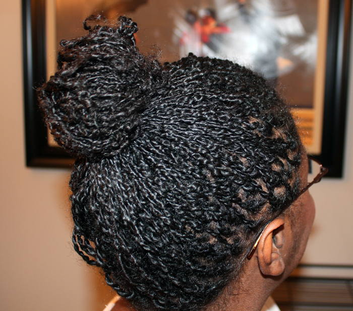 ♥ SammyWithTheBigHair♥ : Mini Twists - Tips