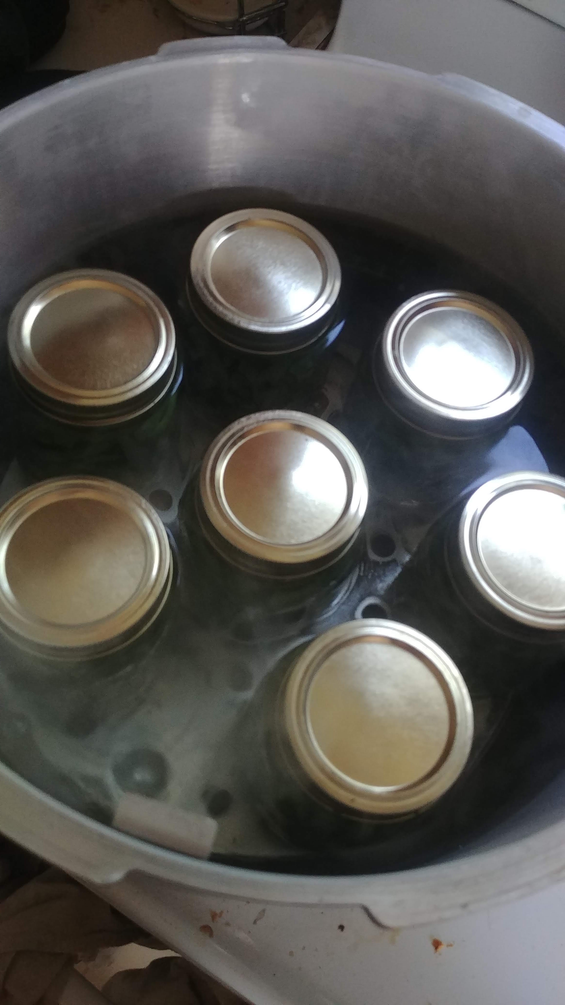 Self-Sufficiency 101: Pressure Canning Green Beans – Living Life in ...