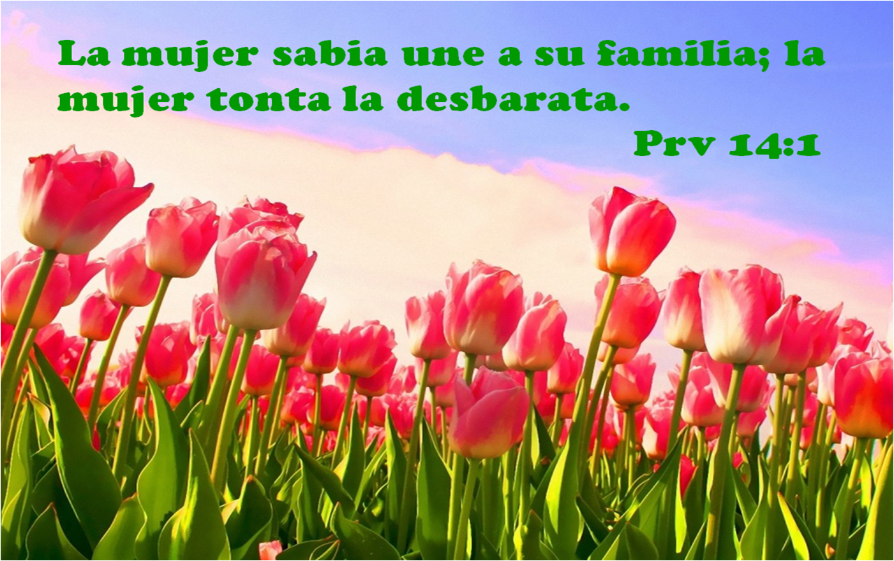 Palabra de Dios: La mujer sabia edifica su casa