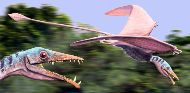 a mesozoic field guide: Pterosaurs of the Triassic