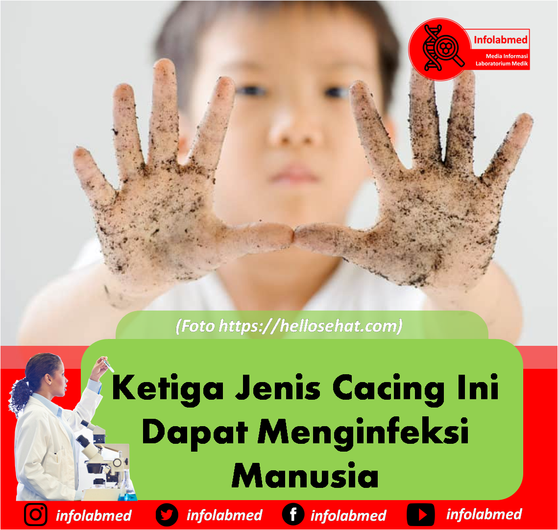 Ketiga Jenis Cacing Ini Dapat Menginfeksi Manusia