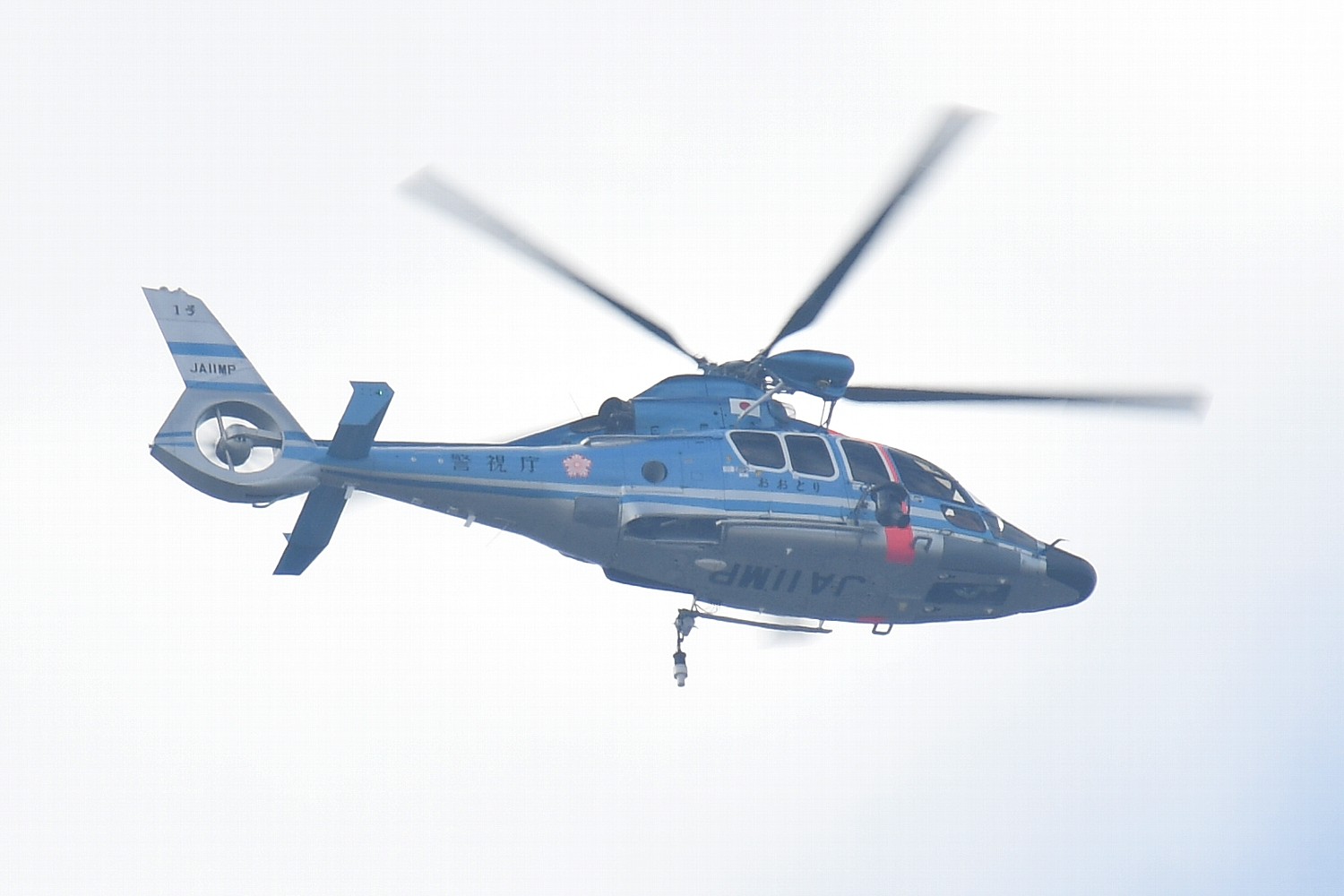 へりとりぶろぐ: Жаворонок