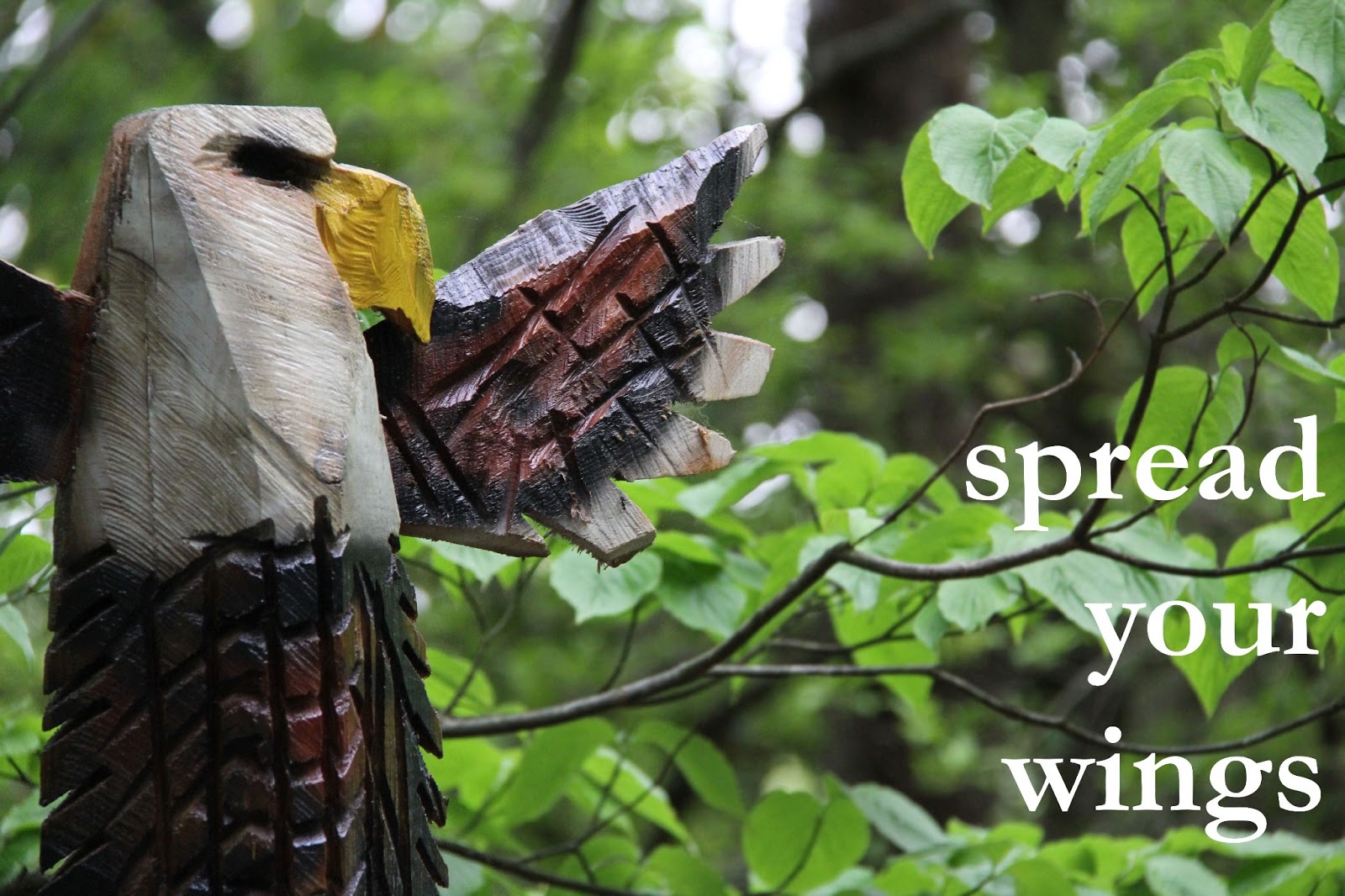 The Awkward Indie Girl: Spread Your Wings